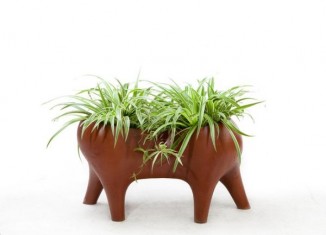 Les pots Animal Farm par Hive