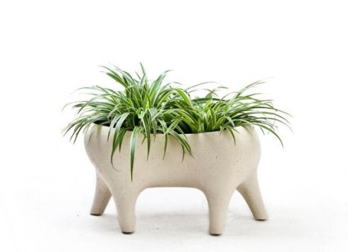 Les pots Animal Farm par Hive